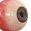 Human Eye 3d Obj
