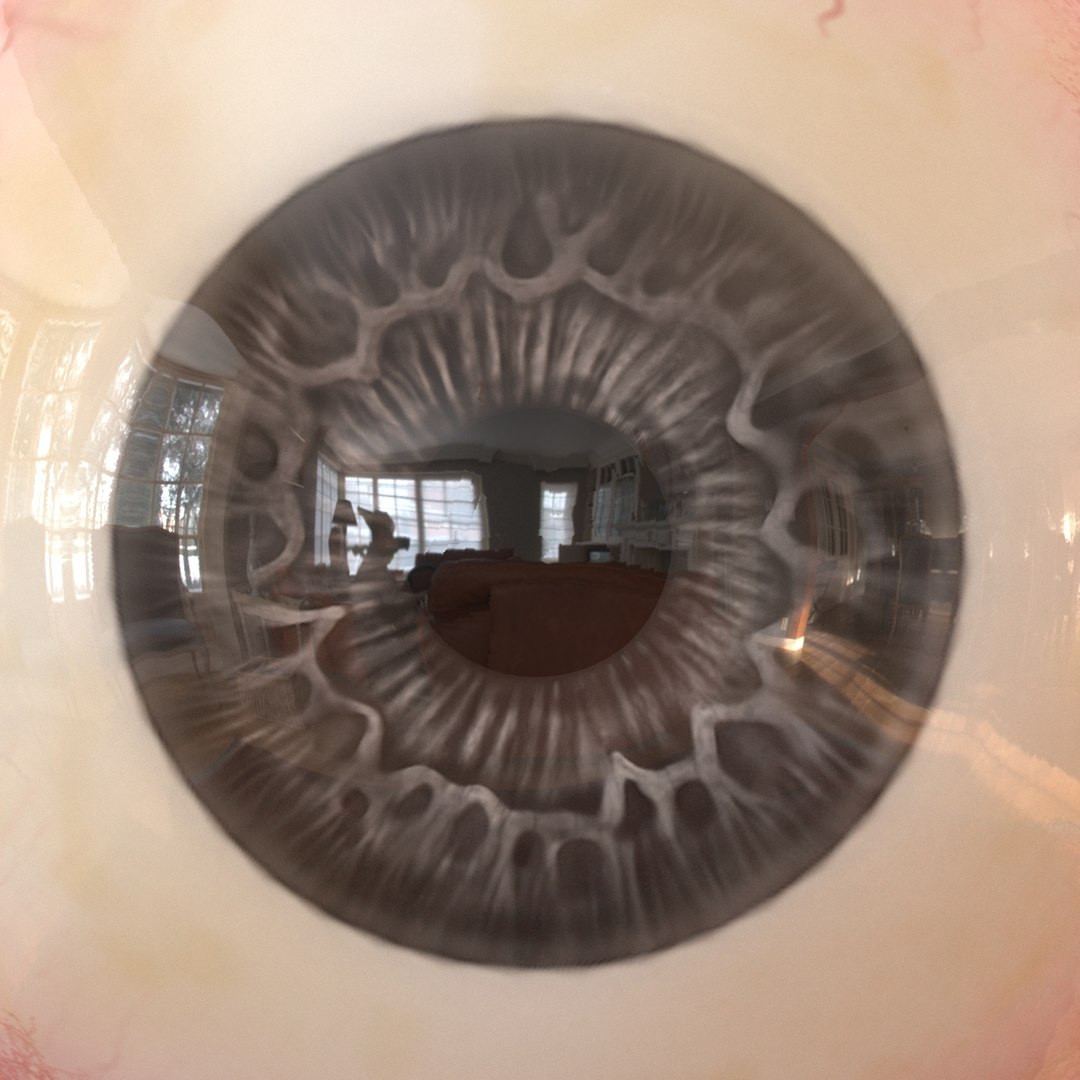 Human Eye 3d Obj