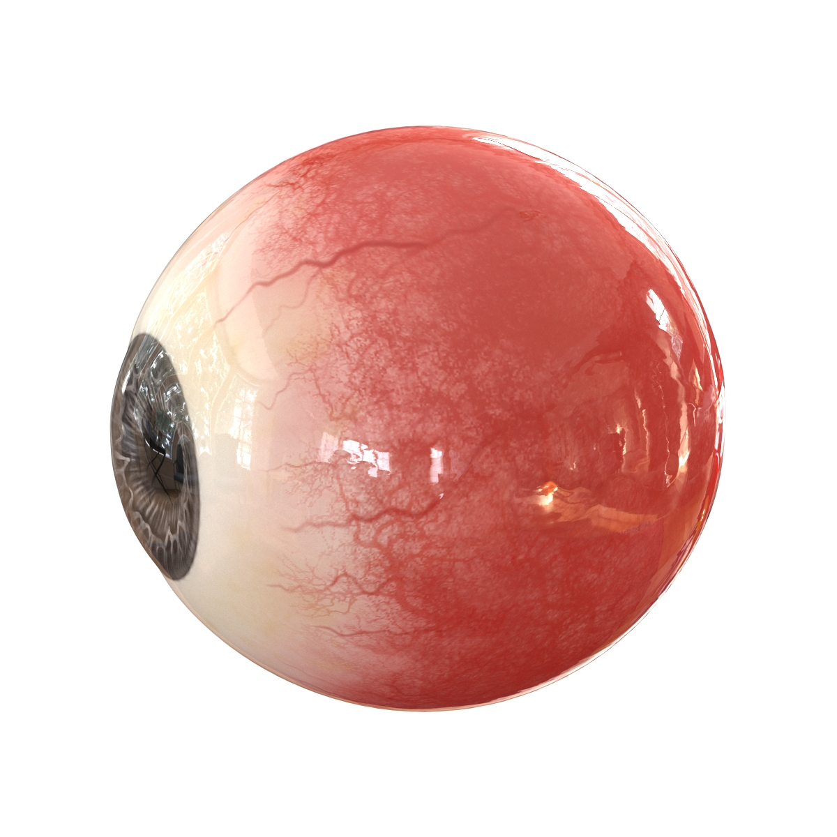 human eye 3d obj