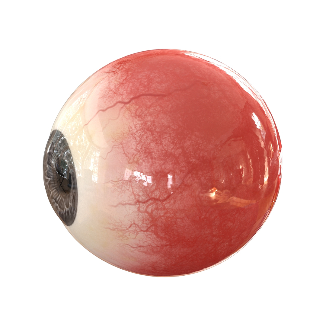 human eye 3d obj