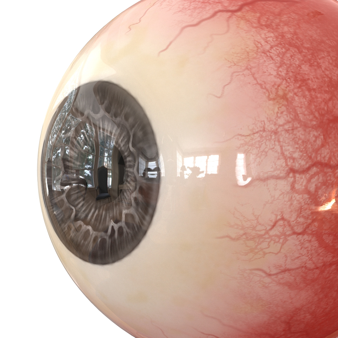 human eye 3d obj
