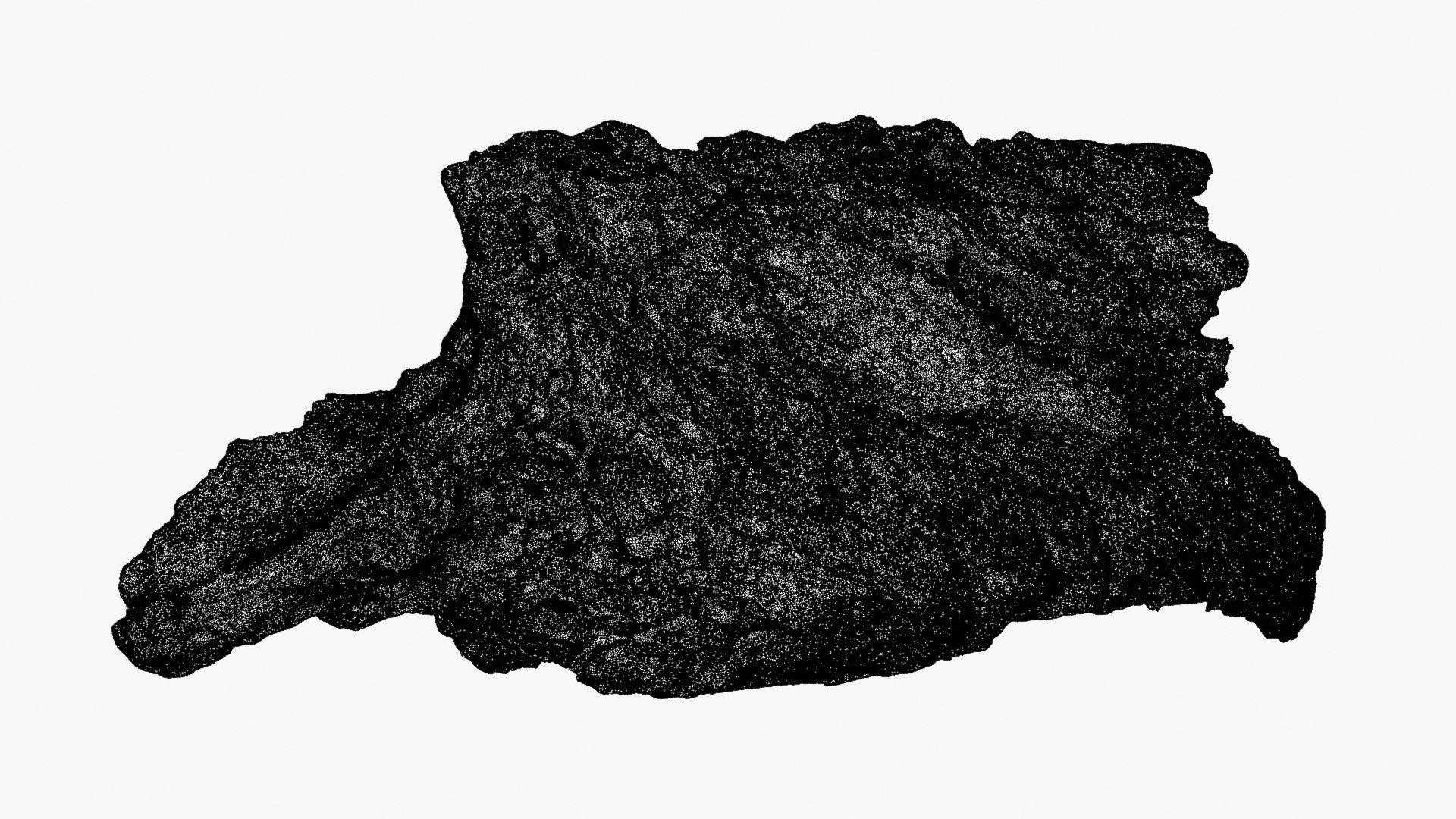 3D Tree Trunk Piece 01 - Raw Scan Model - TurboSquid 2474074