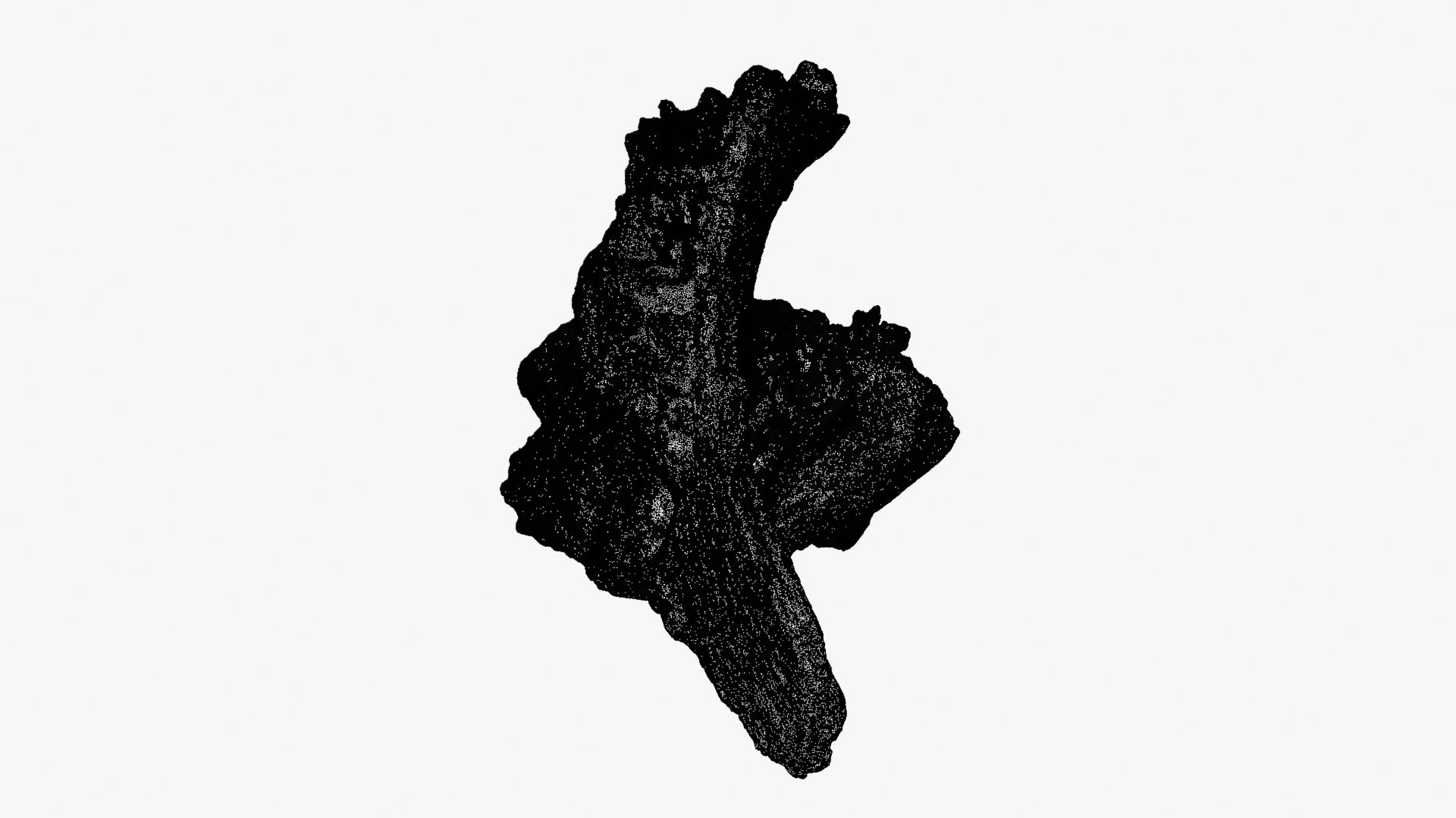 3D Tree Trunk Piece 01 - Raw Scan Model - TurboSquid 2474074