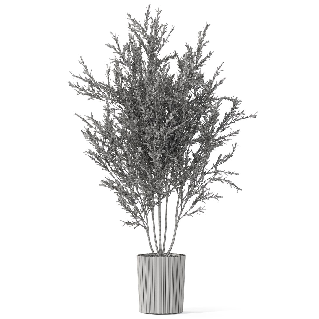 3D Model Plants Collection 1095 - TurboSquid 2248913