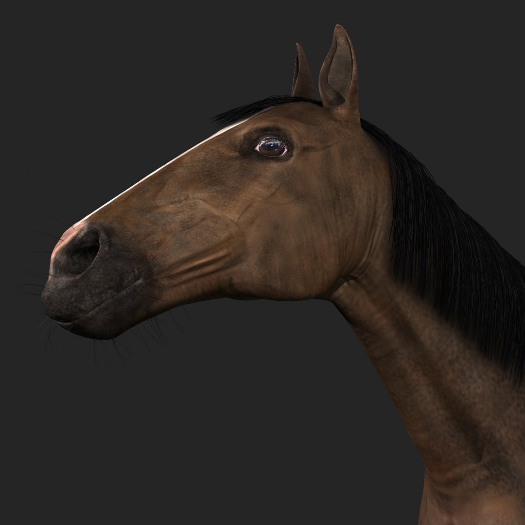 3d model of horse rig