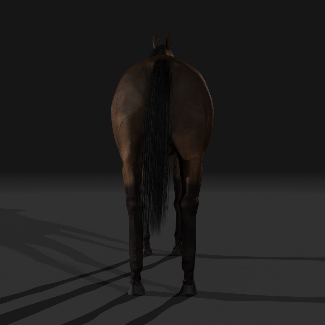 3d model of horse rig