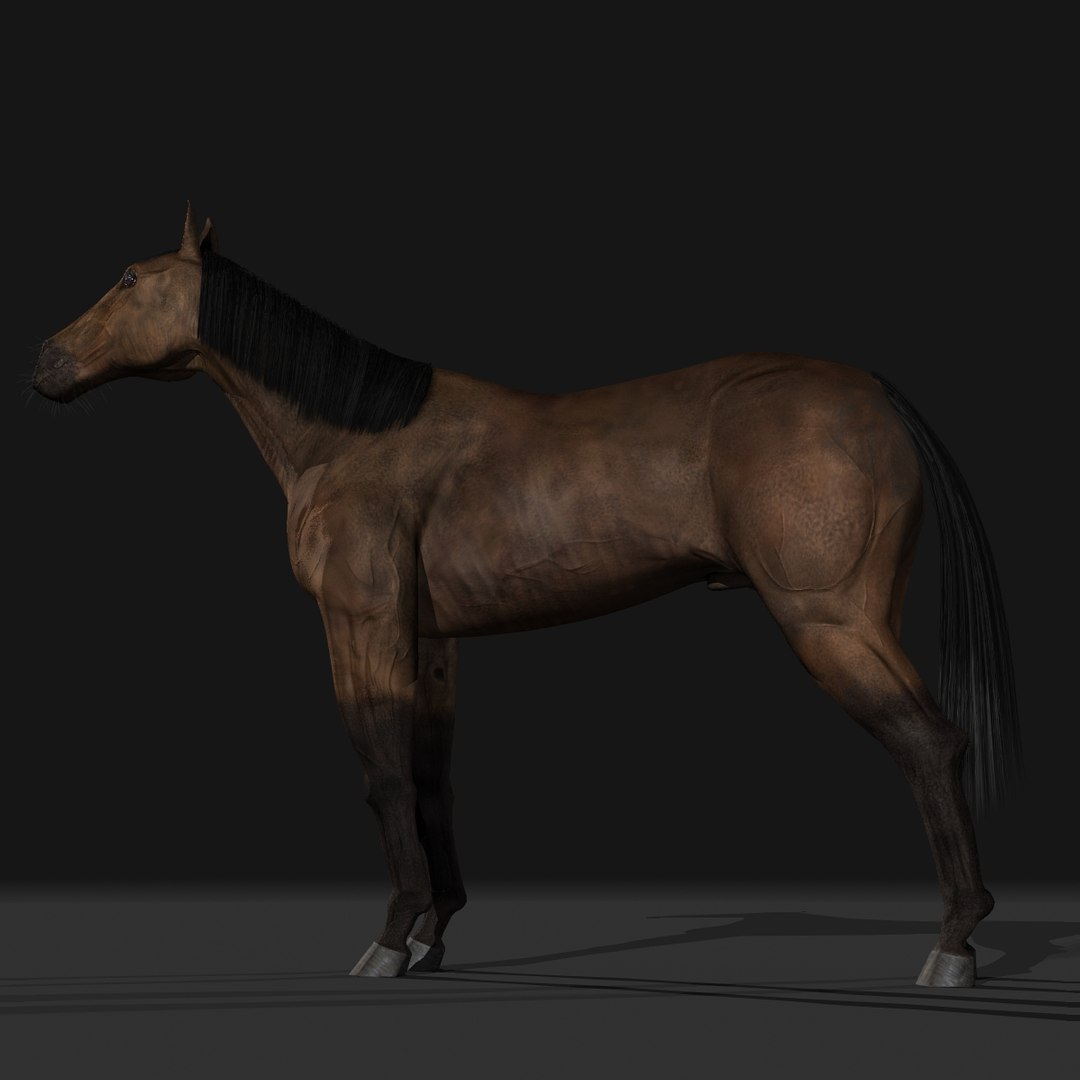 3d model of horse rig