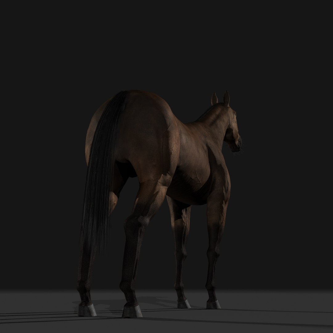 3d model of horse rig