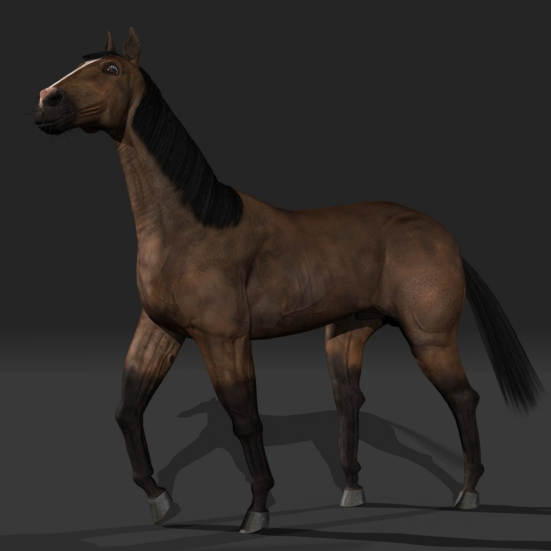 3d model of horse rig