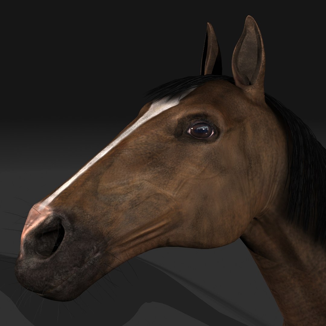 3d model of horse rig