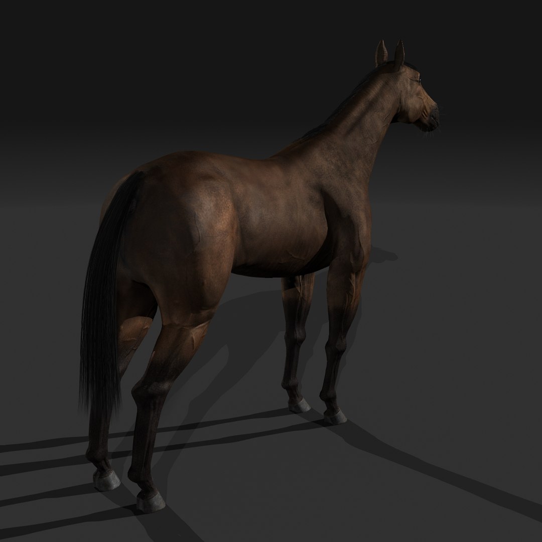 3d model of horse rig