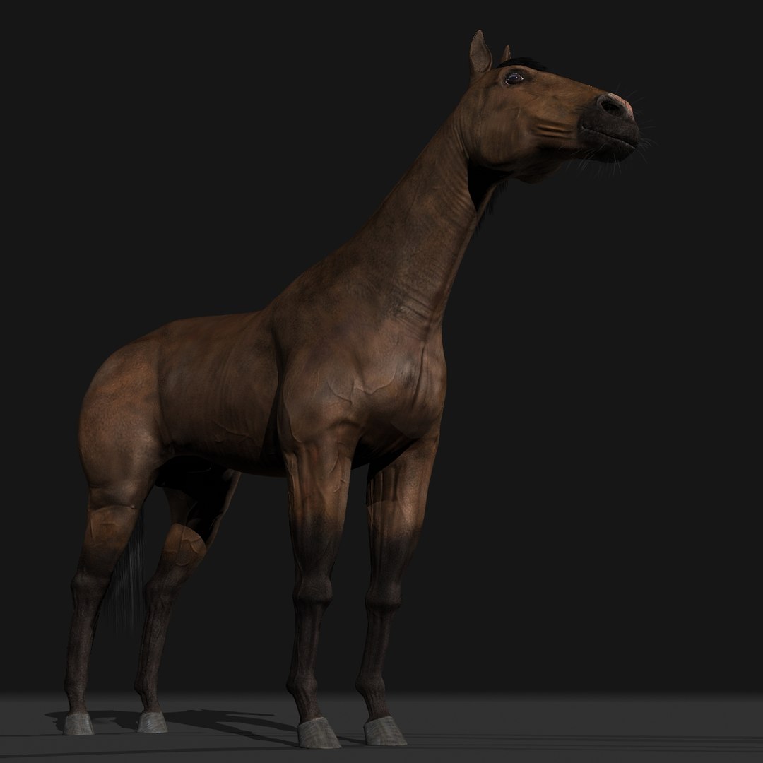 3d model of horse rig