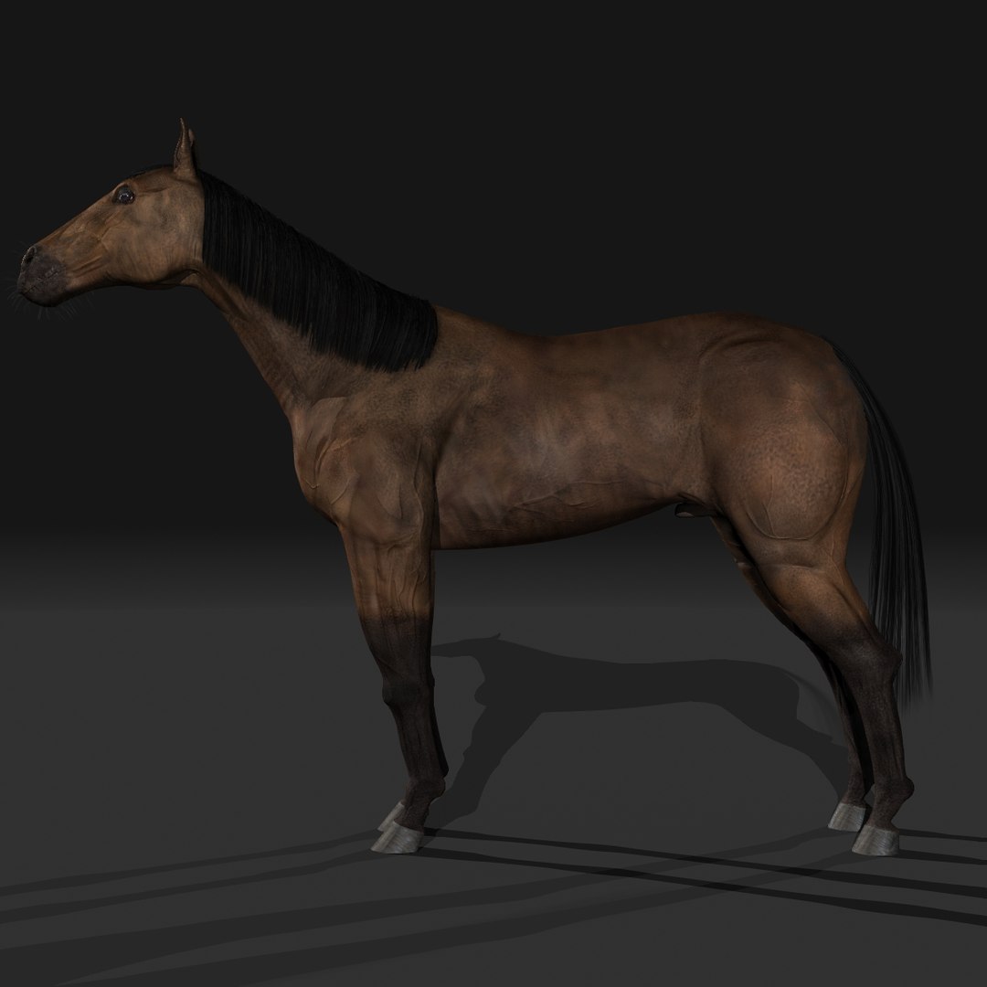 3d model of horse rig
