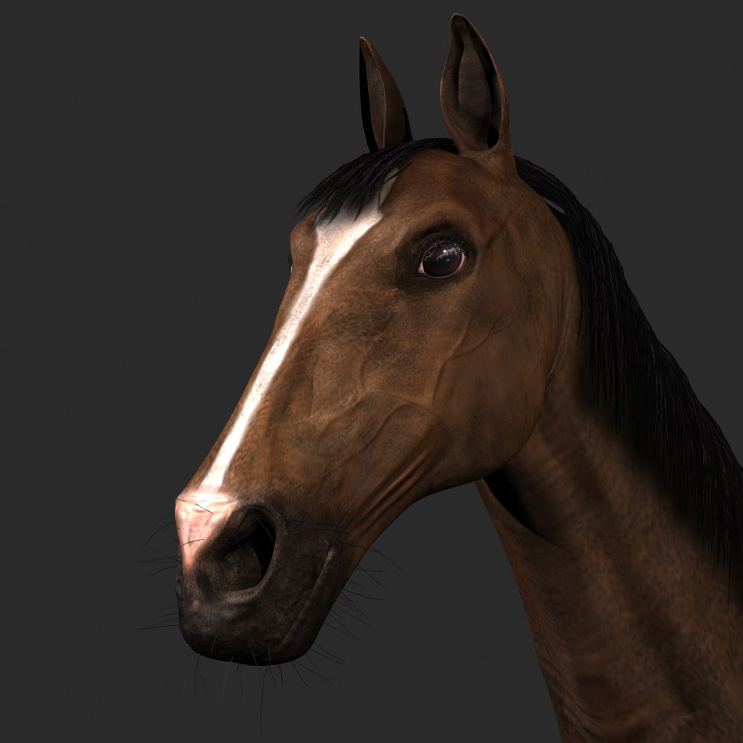 3d model of horse rig