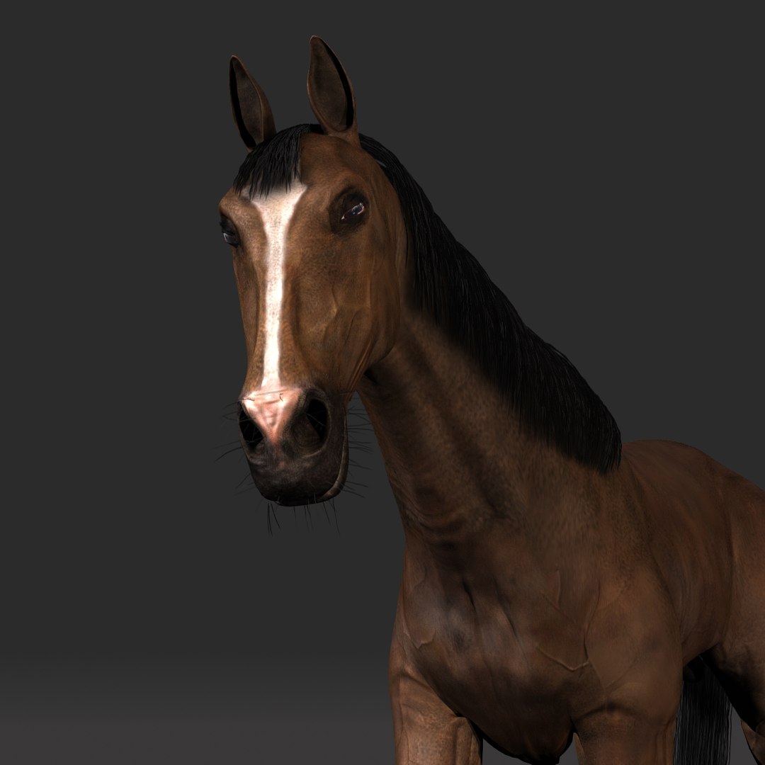 3d model of horse rig
