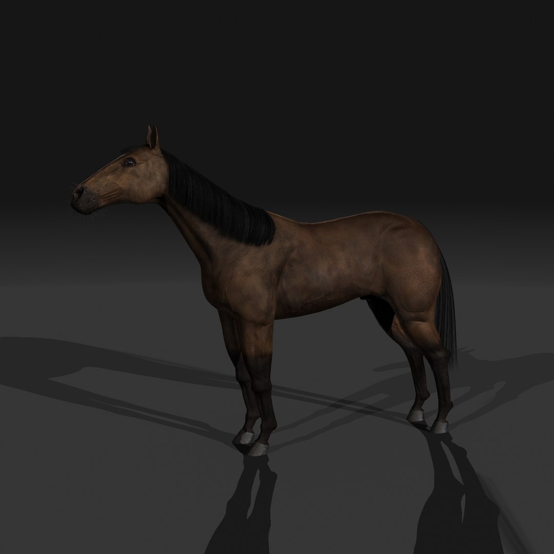 3d model of horse rig