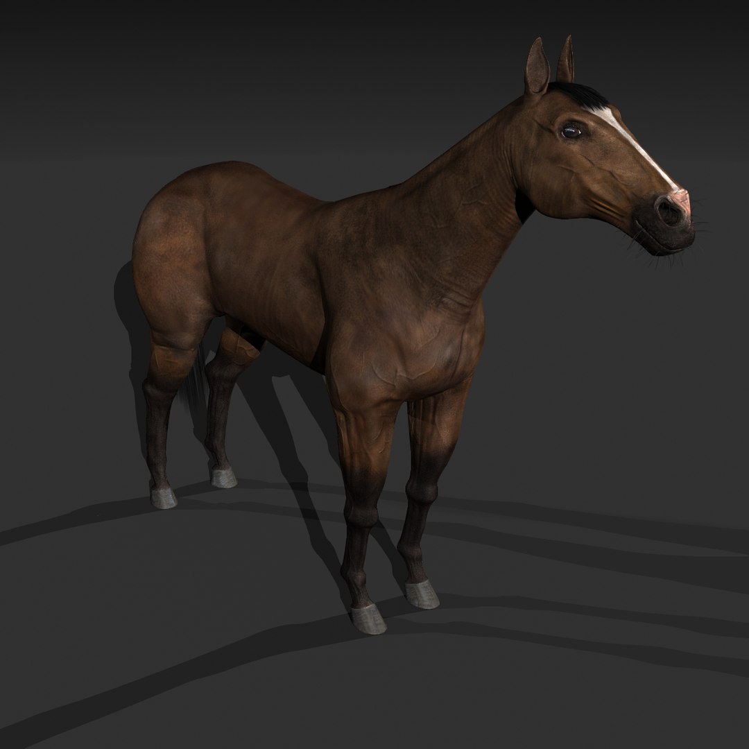 3d model of horse rig