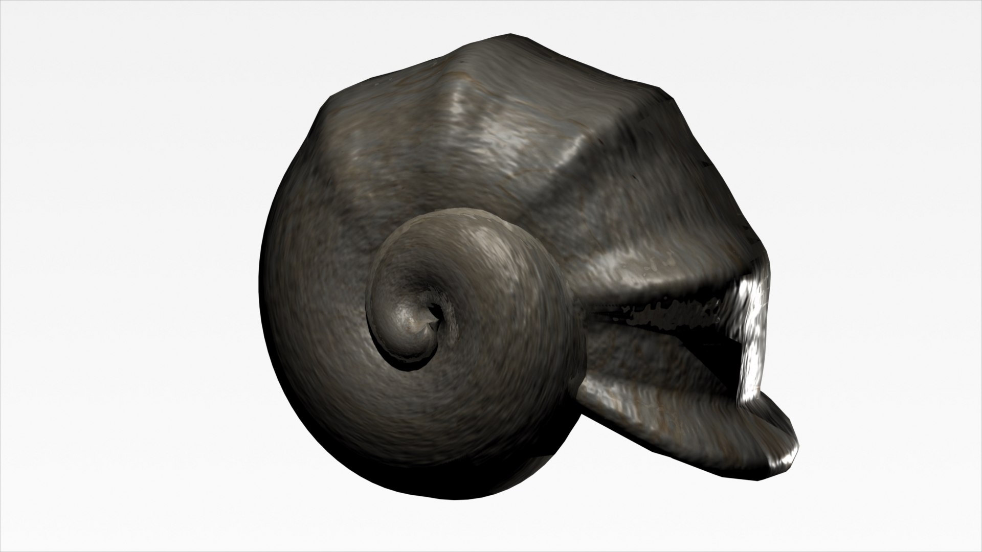 Snail Shell Dxf