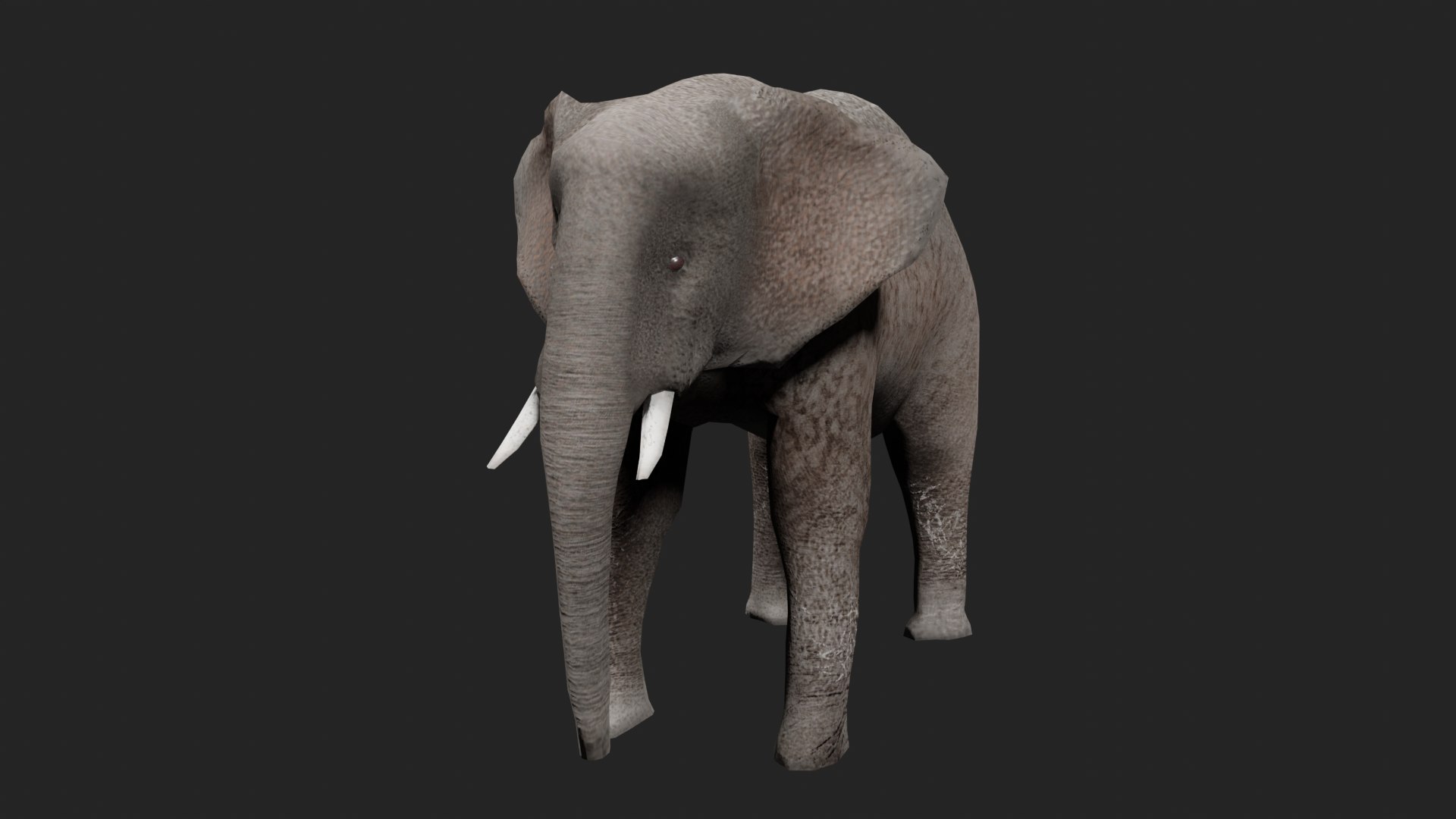 3D Elephant - TurboSquid 2086349