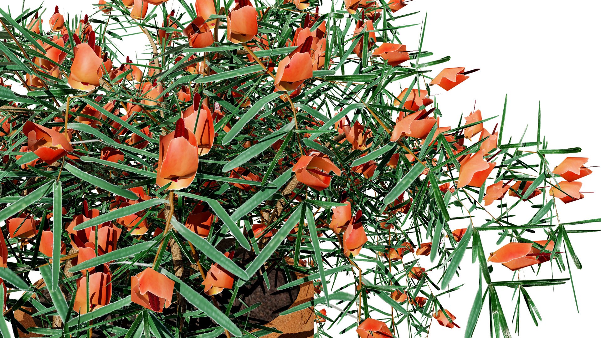 Realistic Lotus Vine Flower 3D Model - TurboSquid 2340053