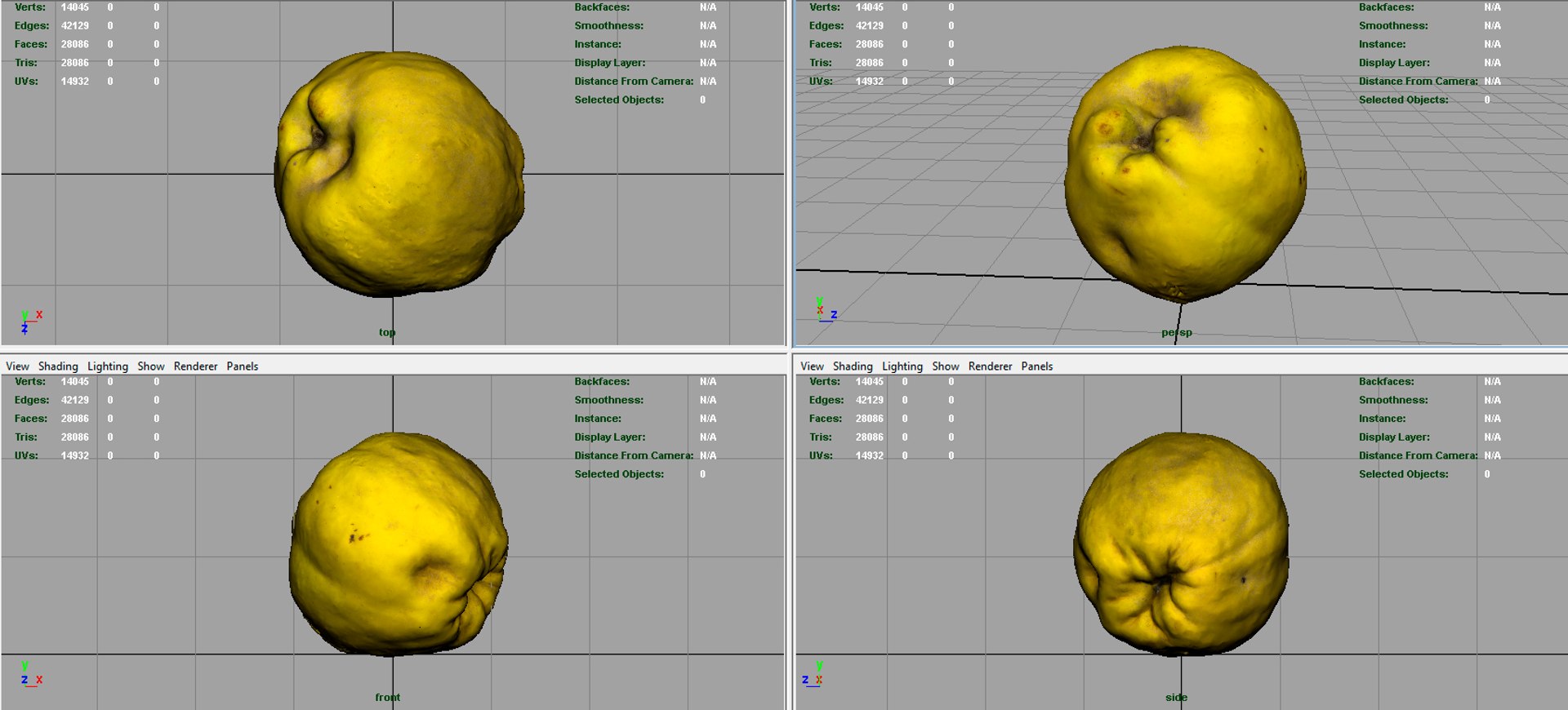 grapefruit fruit 3d model