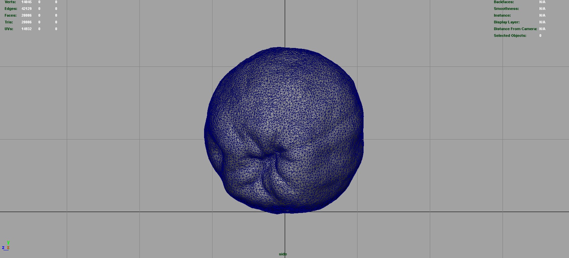 grapefruit fruit 3d model