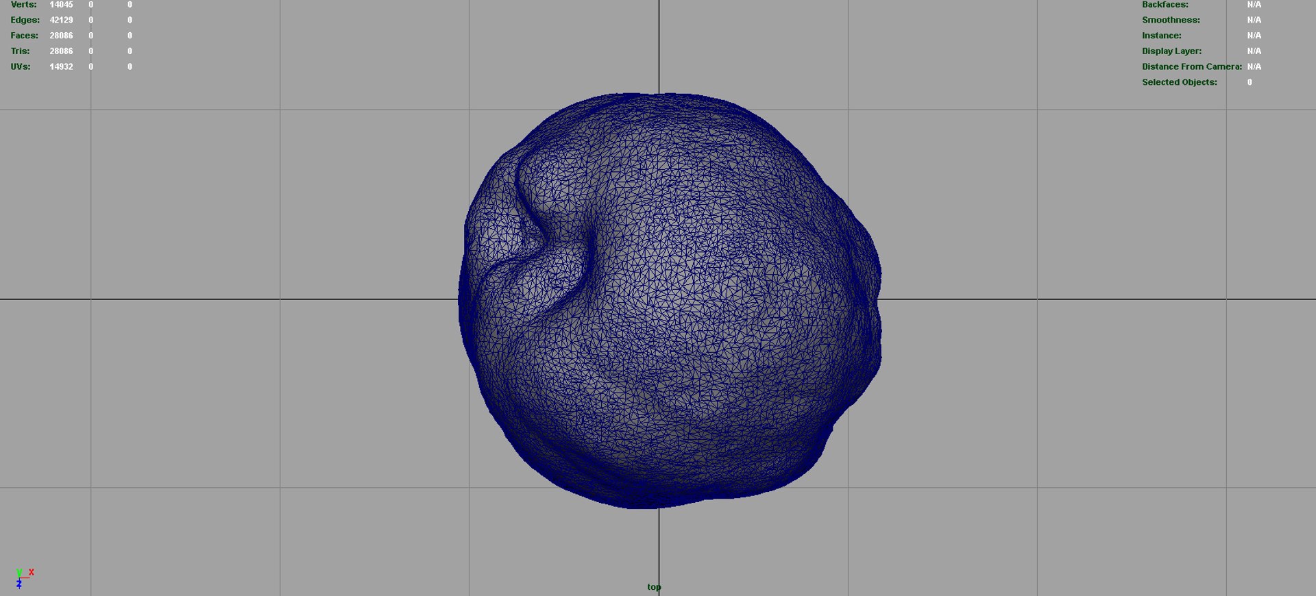 grapefruit fruit 3d model