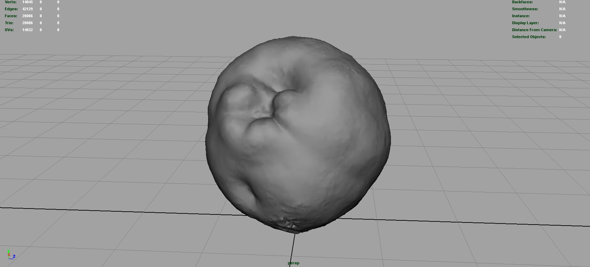 grapefruit fruit 3d model