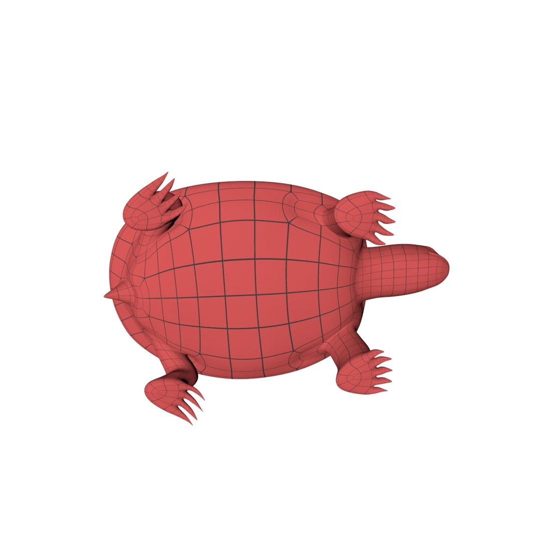 3D Base Mesh Tortoise Model - TurboSquid 1260535