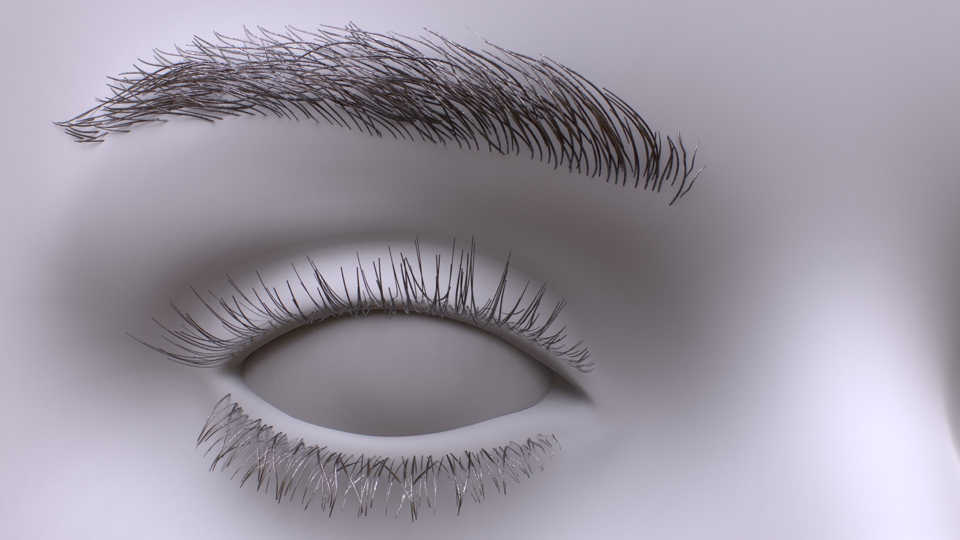 Womans Eyebrows And Eyelashes 3D Model - TurboSquid 1889179