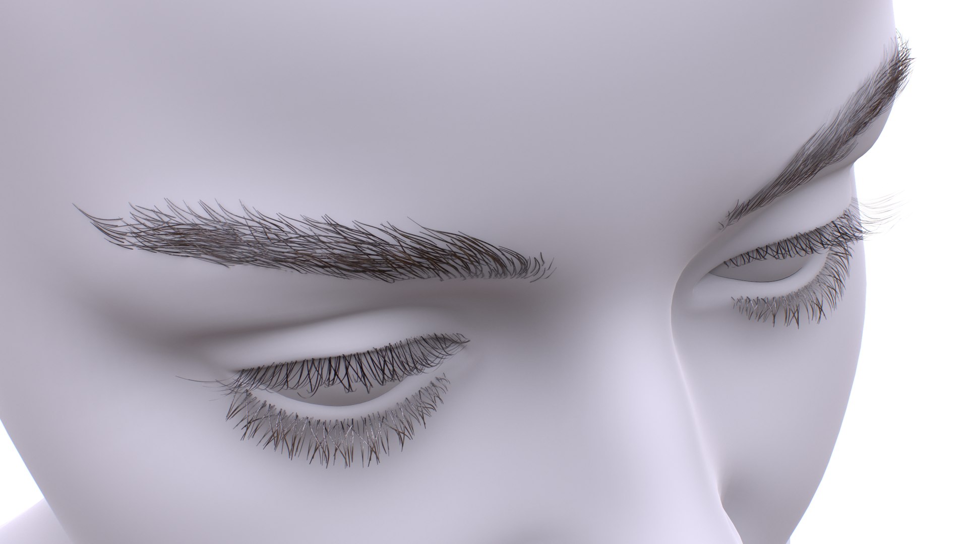 Womans Eyebrows And Eyelashes 3D Model - TurboSquid 1889179
