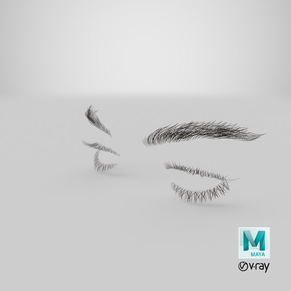 Womans Eyebrows and Eyelashes 3D model - TurboSquid 1889179