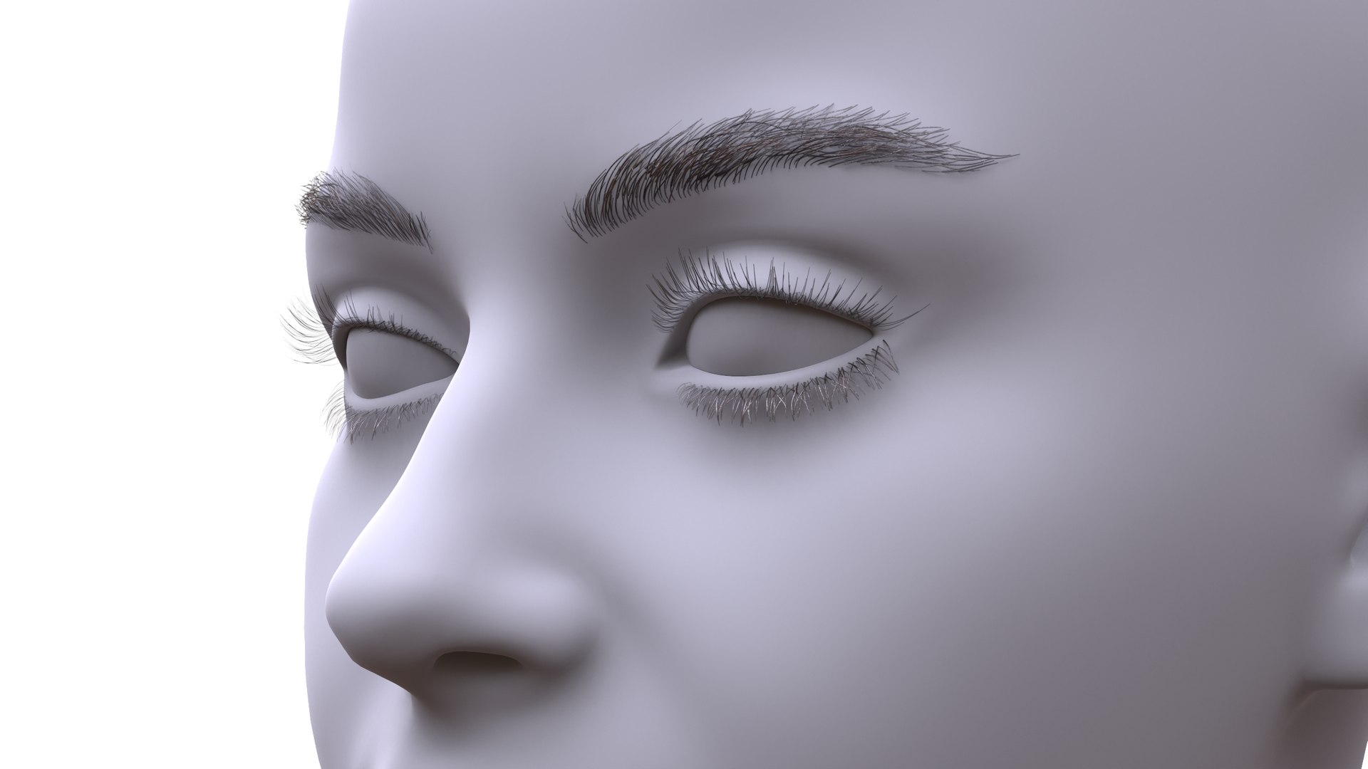 Womans Eyebrows And Eyelashes 3D Model - TurboSquid 1889179