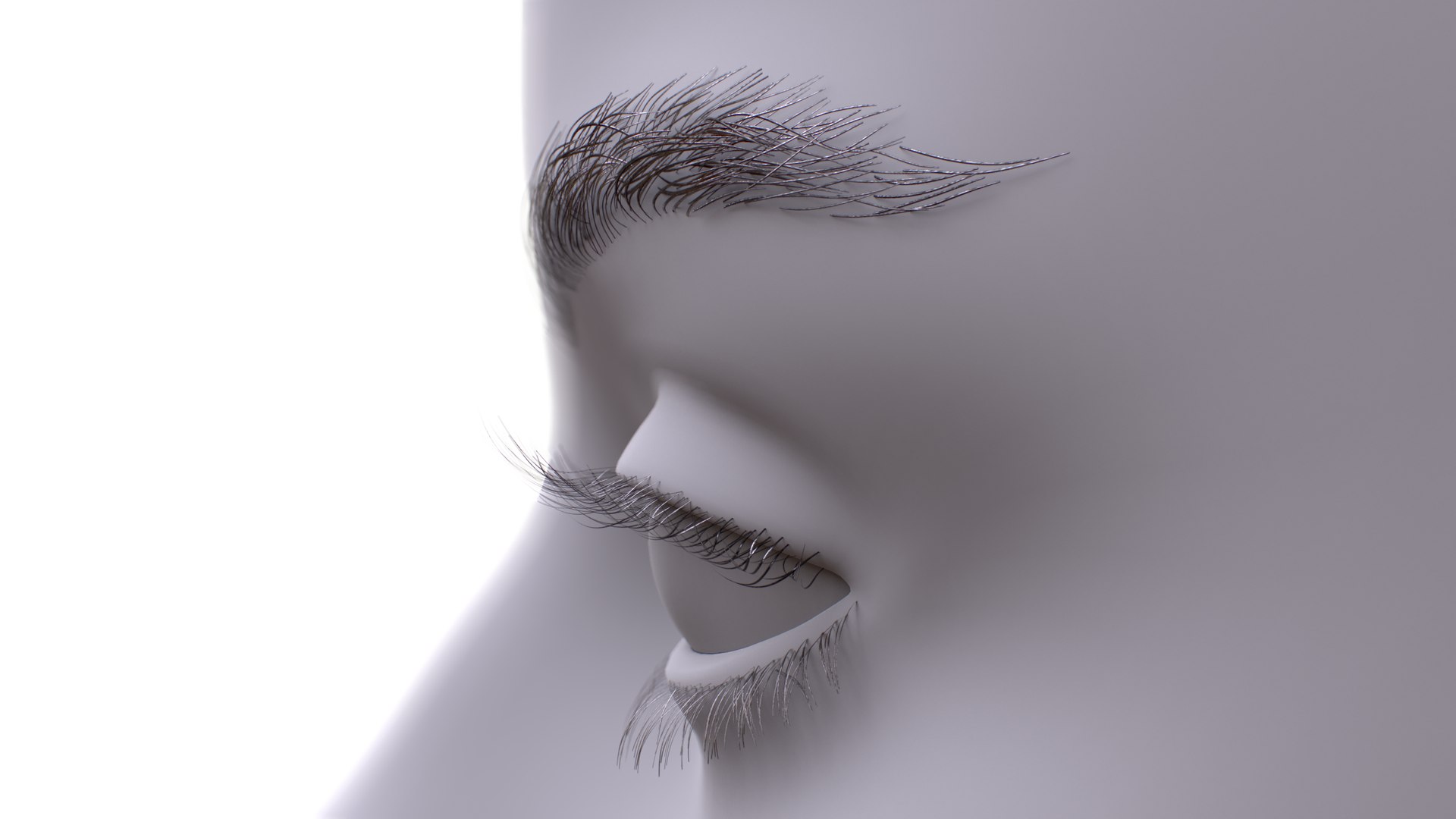 Womans Eyebrows And Eyelashes 3D Model - TurboSquid 1889179