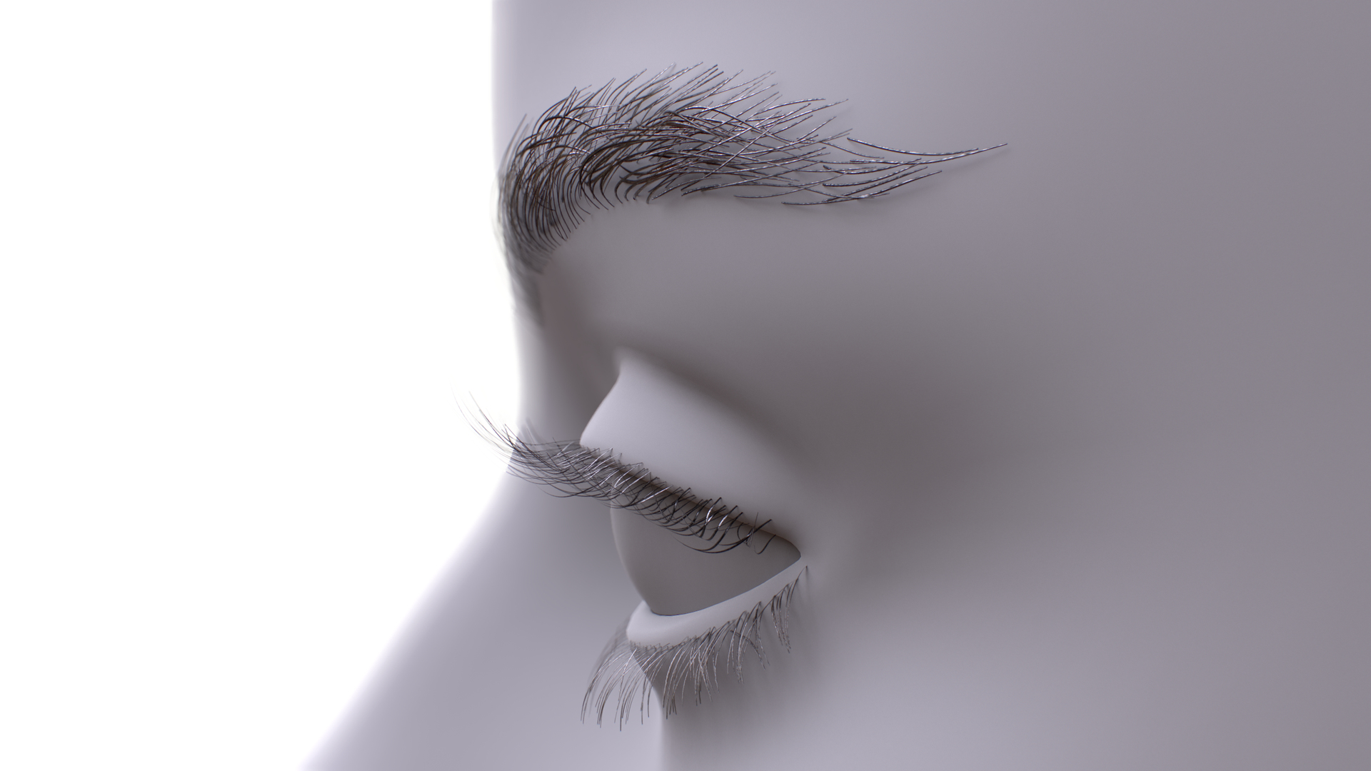 Womans Eyebrows and Eyelashes 3D model - TurboSquid 1889179