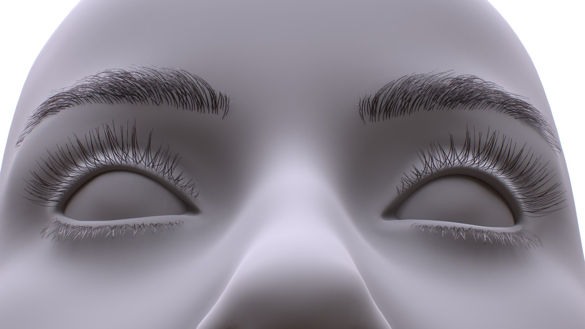 Womans Eyebrows And Eyelashes 3D Model - TurboSquid 1889179