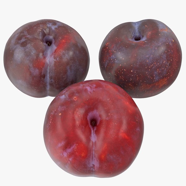 Plum 3D Models for Download | TurboSquid