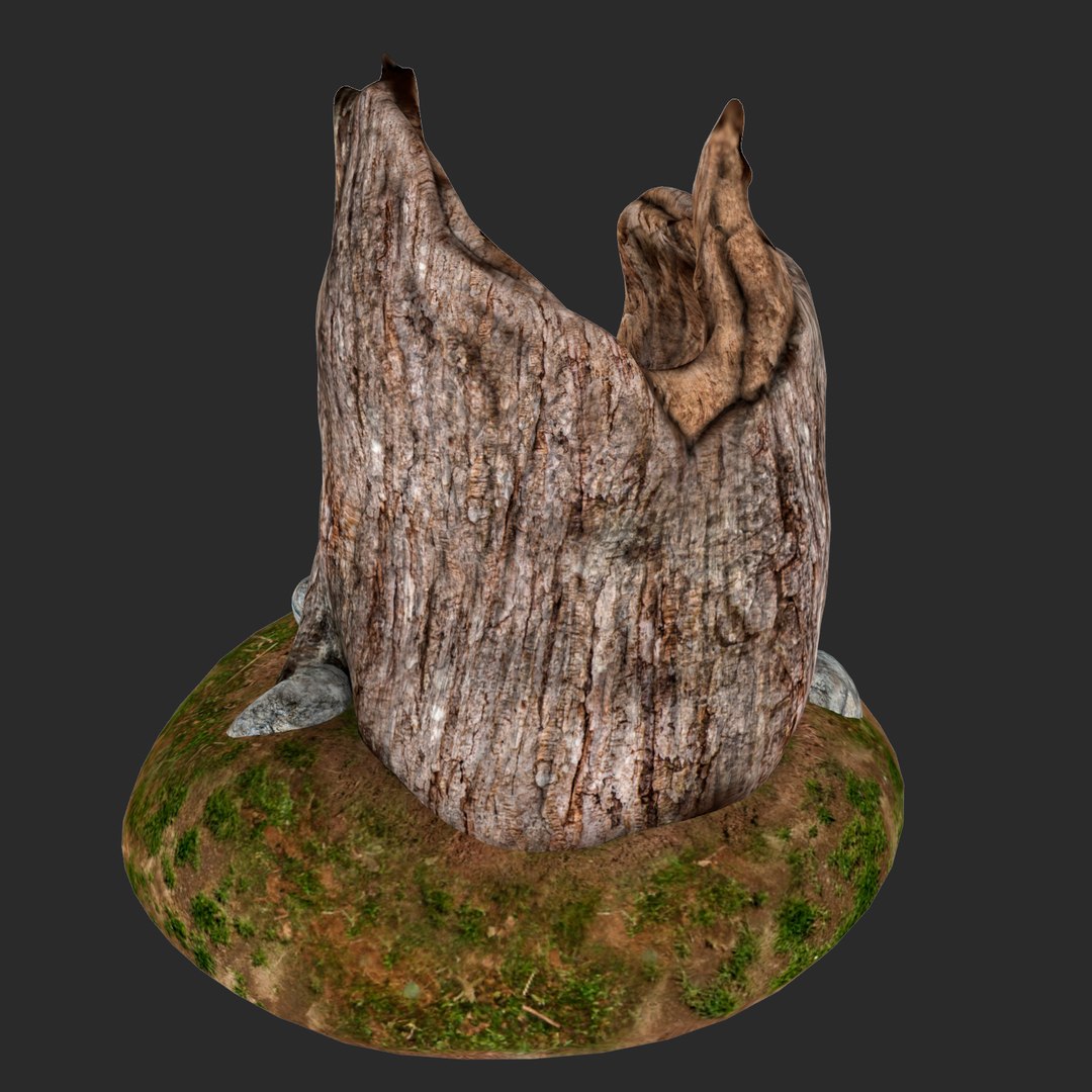 3d model tree stump