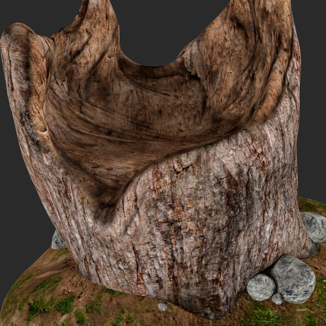 3d model tree stump