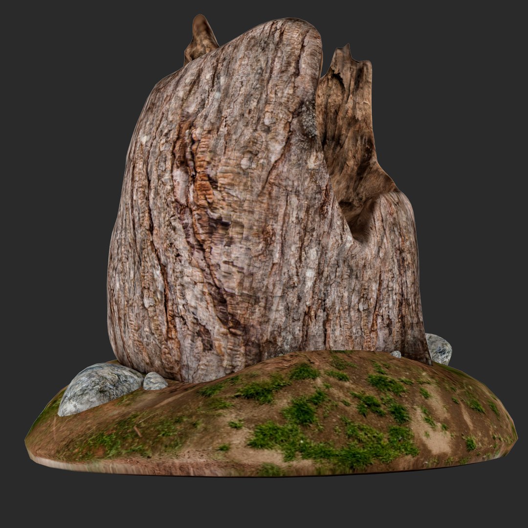 3d model tree stump