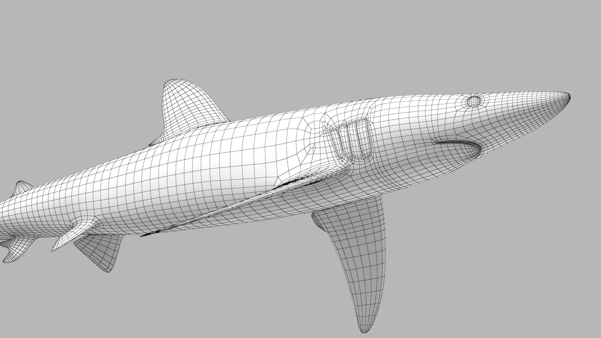 Blue Shark 3D Model - TurboSquid 1767202