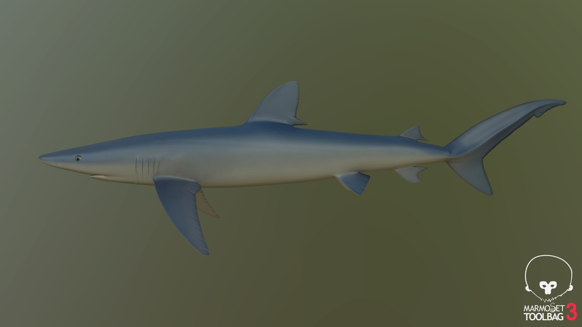 Blue Shark 3D Model - TurboSquid 1767202