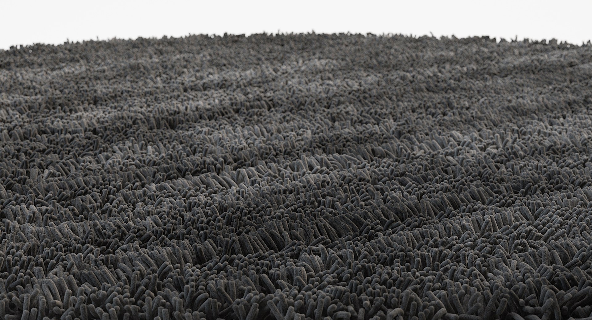 3D Carpet - TurboSquid 1400481