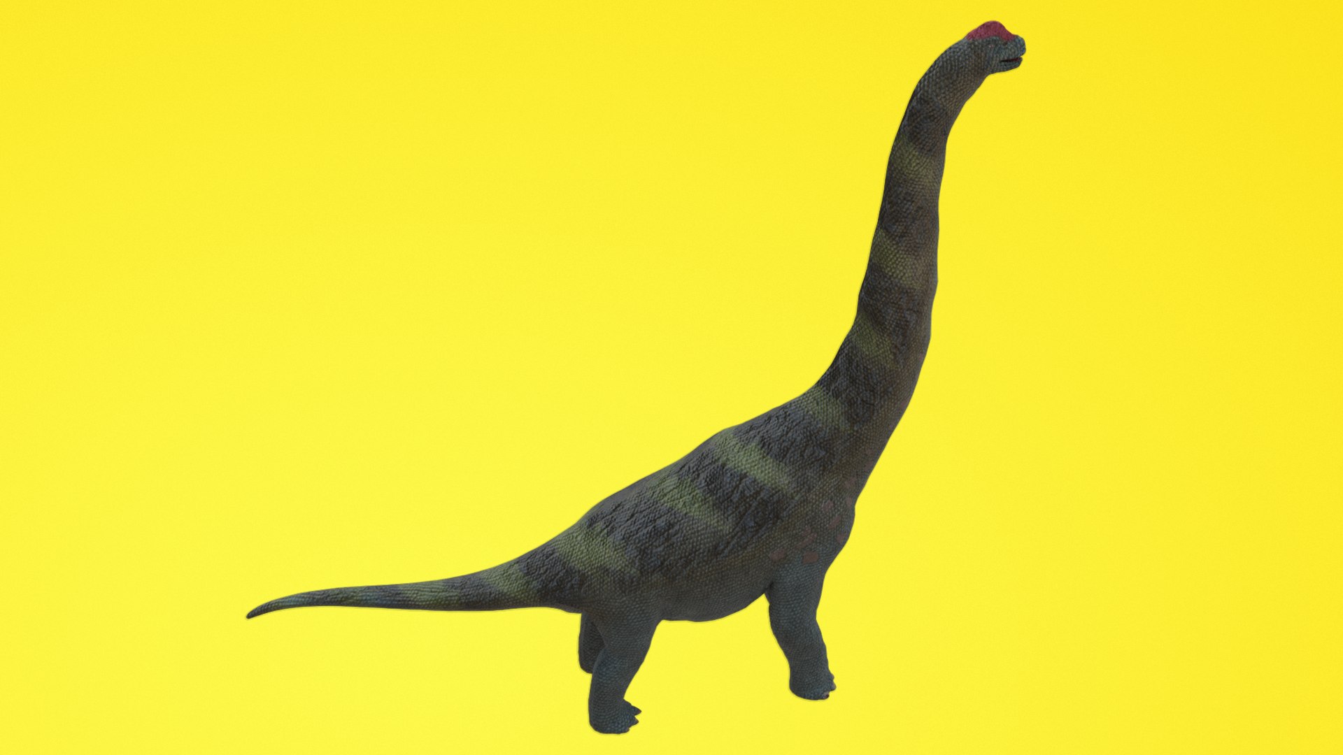 3D model Alamosaurus - TurboSquid 1979204