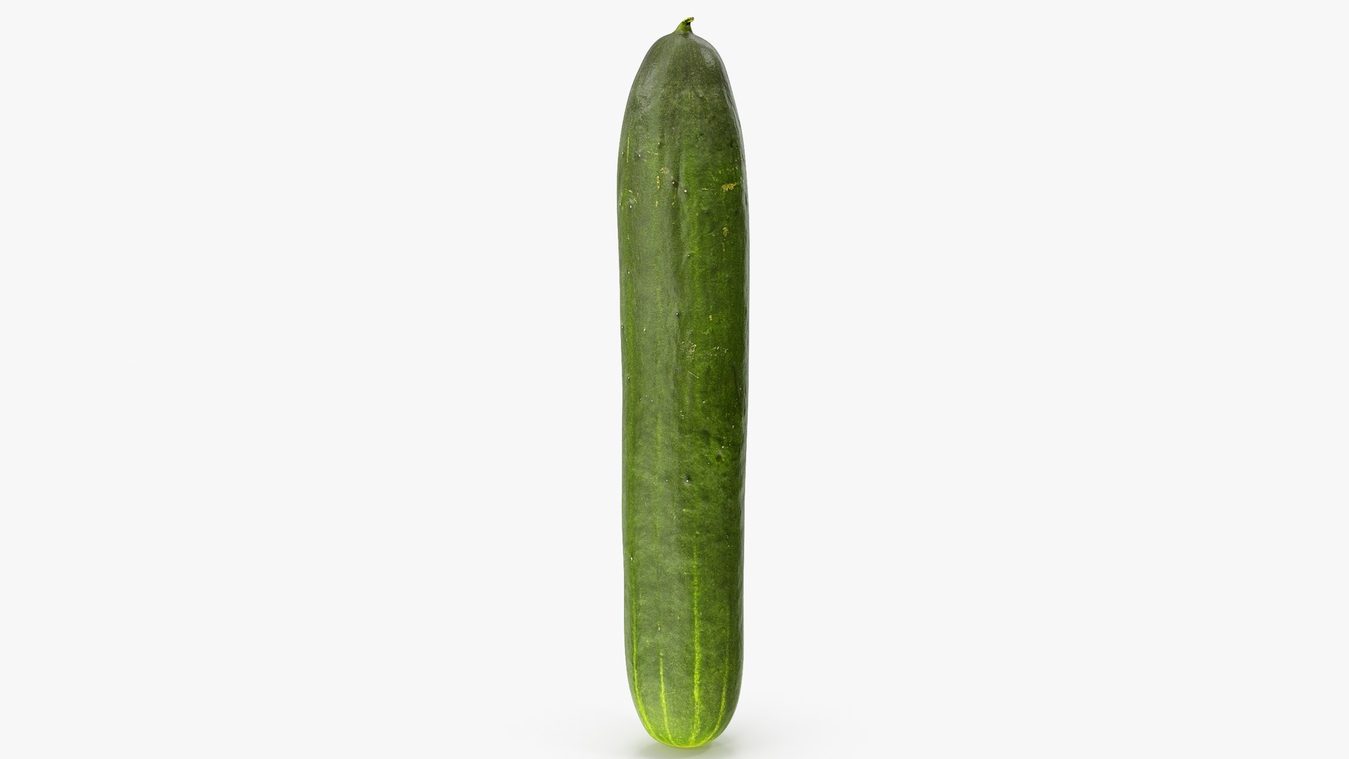 3D Cucumber 04 - TurboSquid 1467799