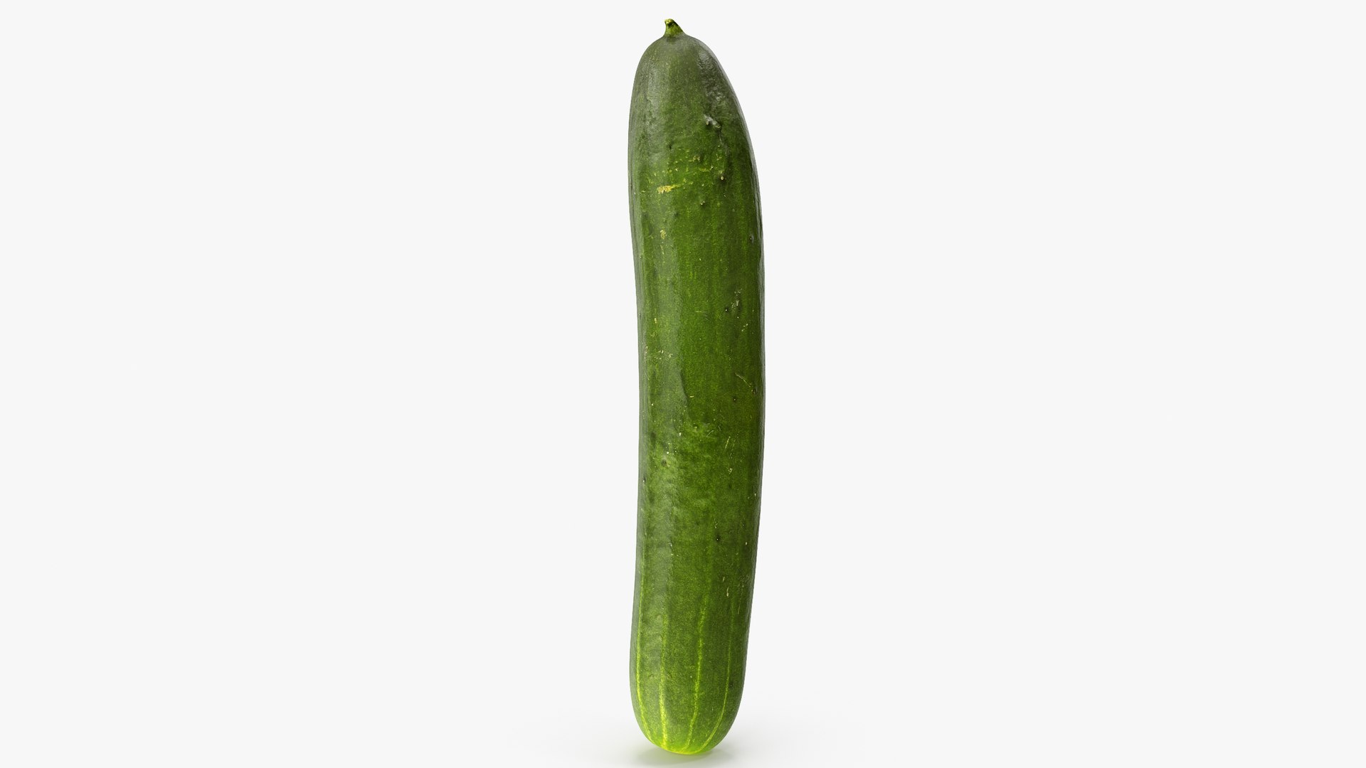3D Cucumber 04 - TurboSquid 1467799