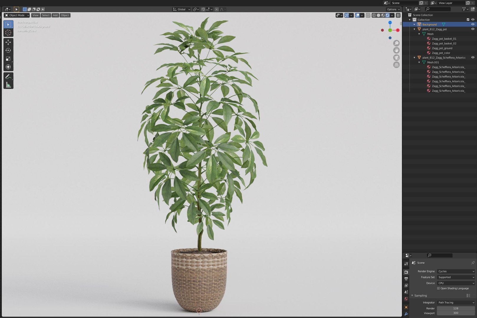 Plants Collection 812 3D Model - TurboSquid 1963694