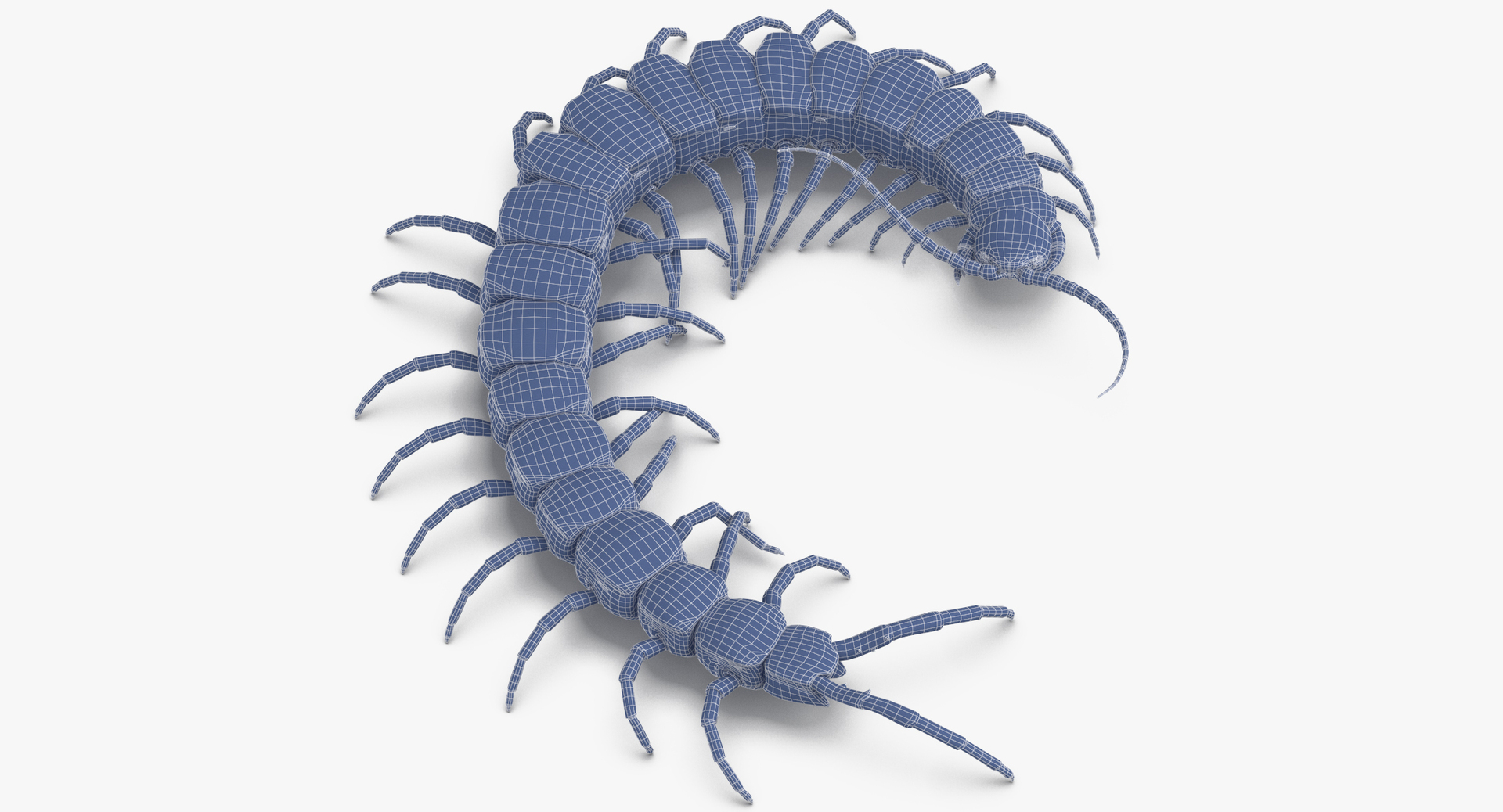 3D centipedes poses - TurboSquid 1398903