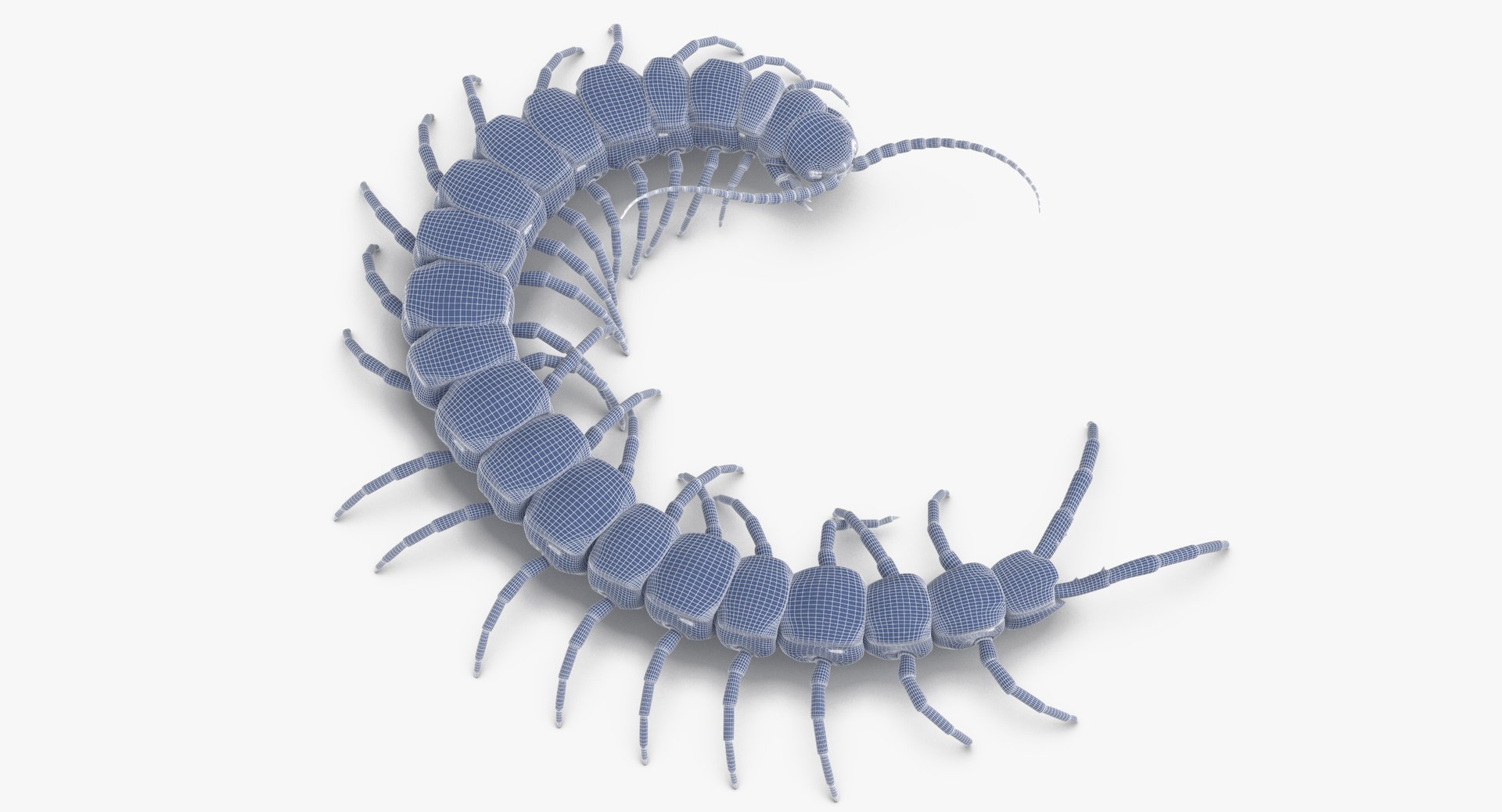 3D Centipedes Poses - TurboSquid 1398903