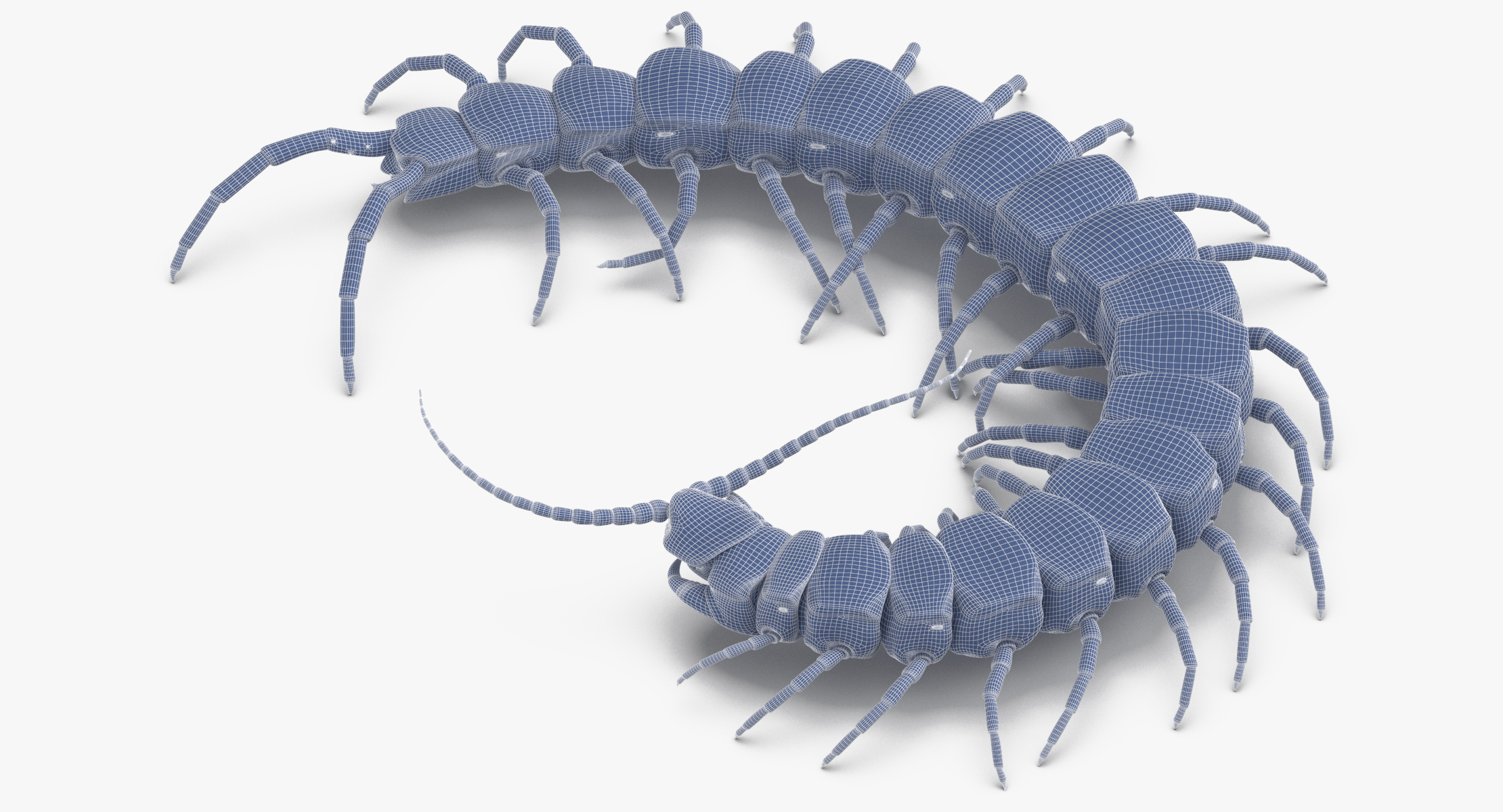 3D centipedes poses - TurboSquid 1398903